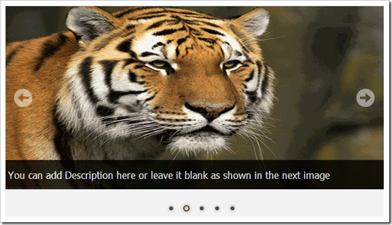 Create Slideshow In Blogger With Navigation - V2